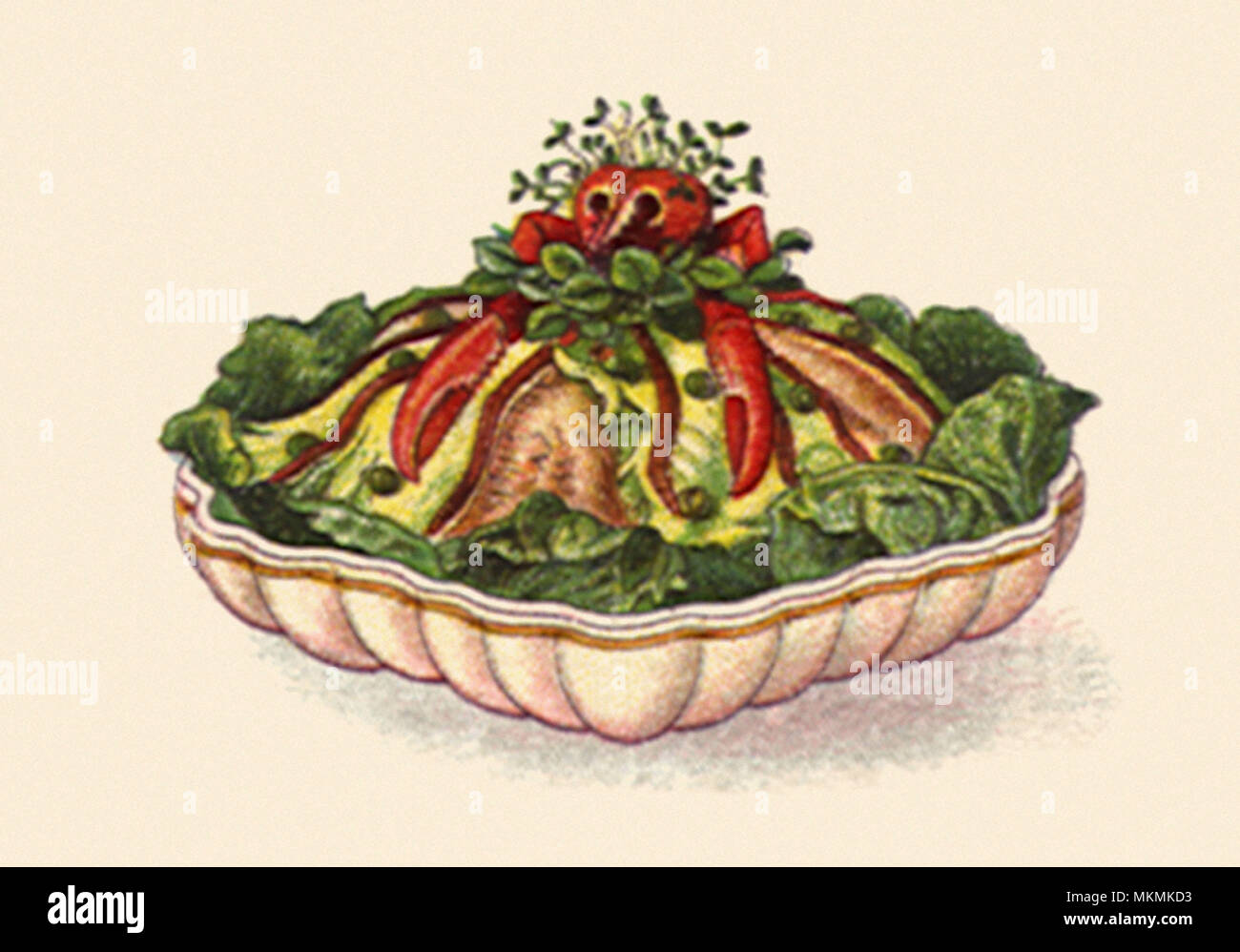 Cold Lobster Salad Stock Photo - Alamy