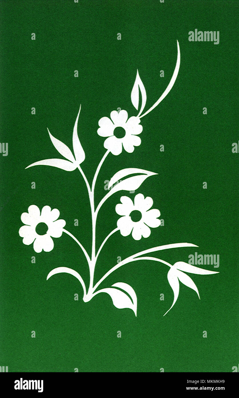 Plant designs hi-res stock photography and images - Alamy