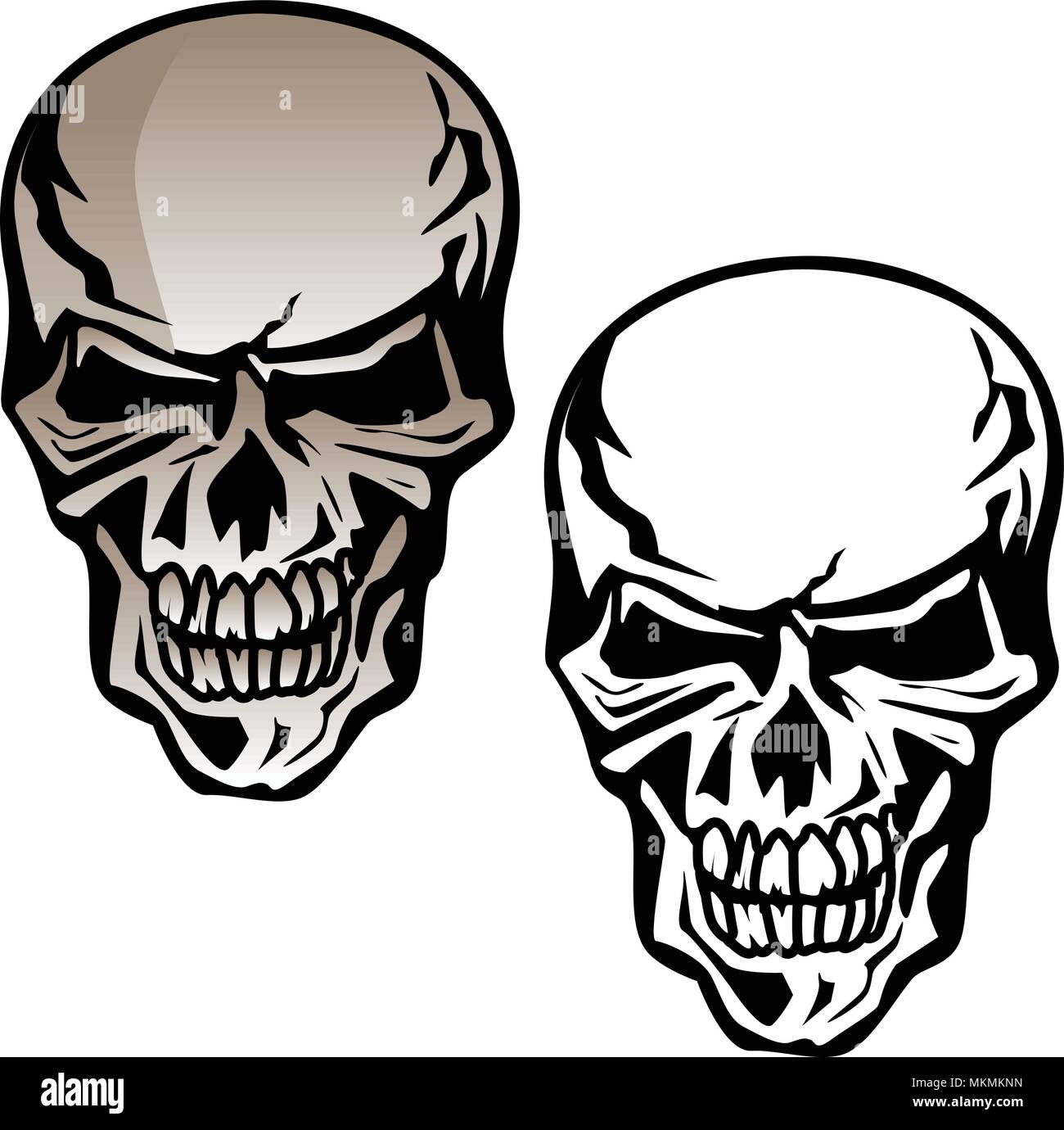 Drawing human skull isolated Stock Vector Images - Alamy