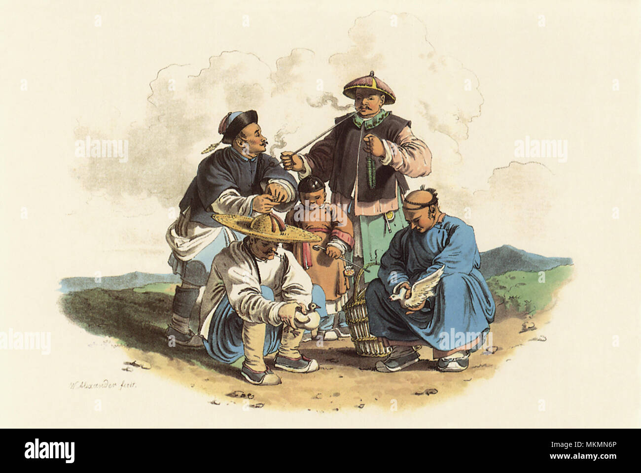 Common quail group hi-res stock photography and images - Alamy