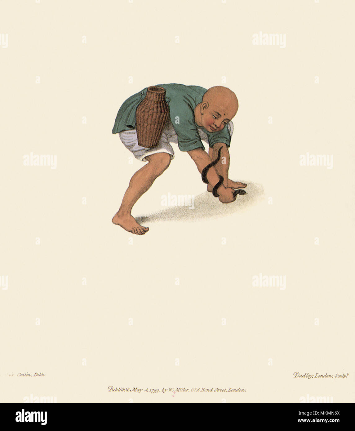 Snake man head hi-res stock photography and images - Alamy