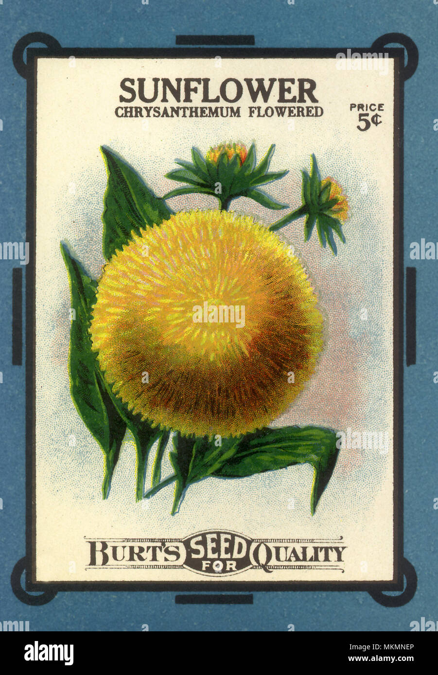 Vintage sunflower seed packets hi-res stock photography and images - Alamy