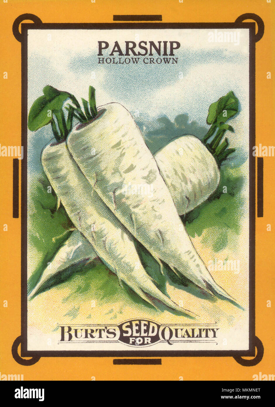 Parsnip seed packet hi-res stock photography and images - Alamy