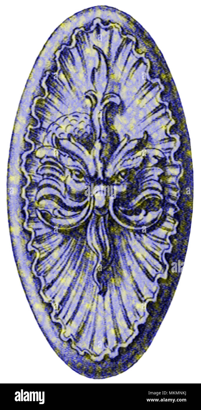 Masklike hi-res stock photography and images - Alamy