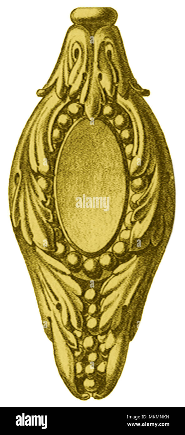 Oval shaped leaves hi-res stock photography and images - Alamy