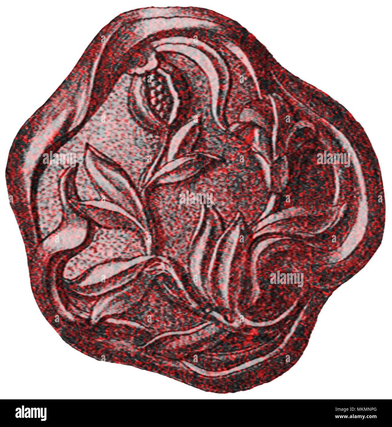 Lobed flowers hi-res stock photography and images - Alamy