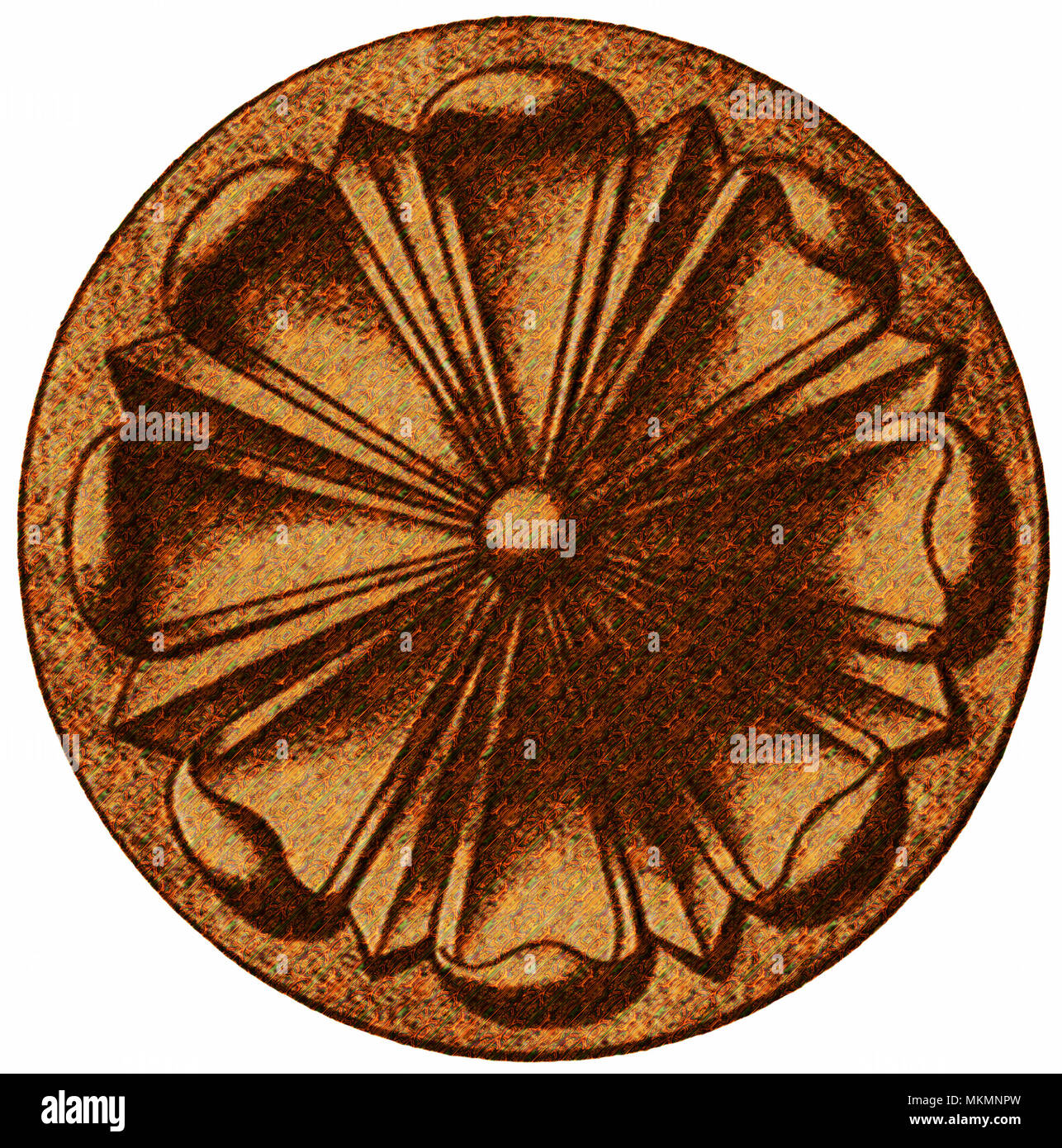 Curled flower hi-res stock photography and images - Alamy