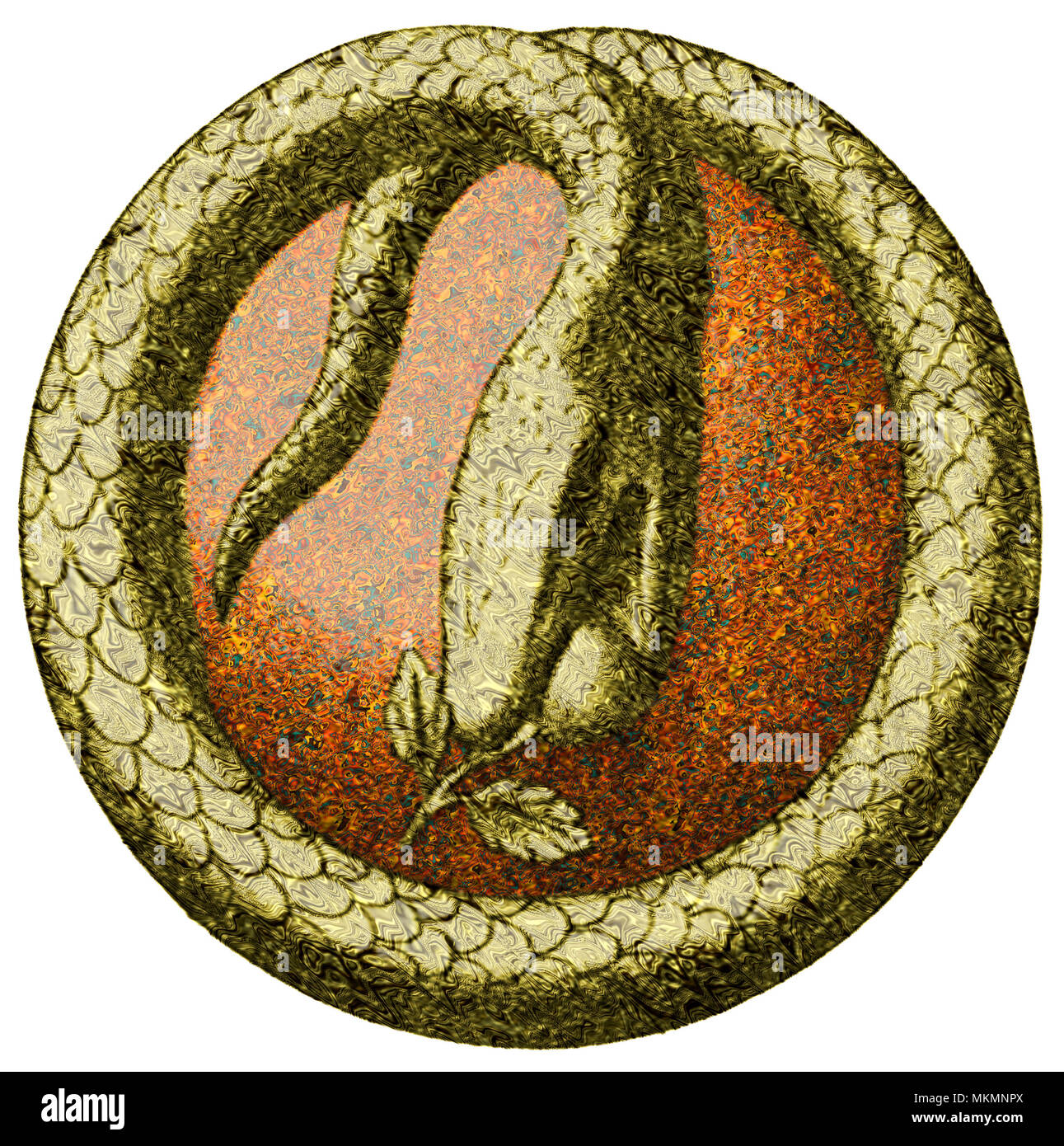 Coiled snake design hi-res stock photography and images - Alamy