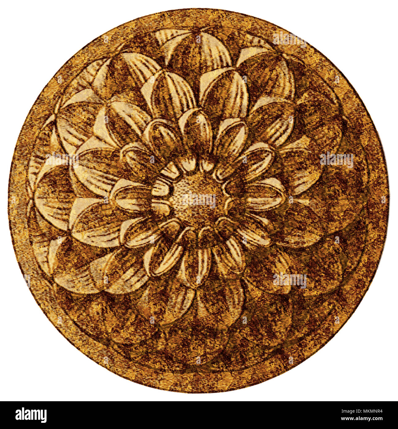 Round flower hi-res stock photography and images - Alamy