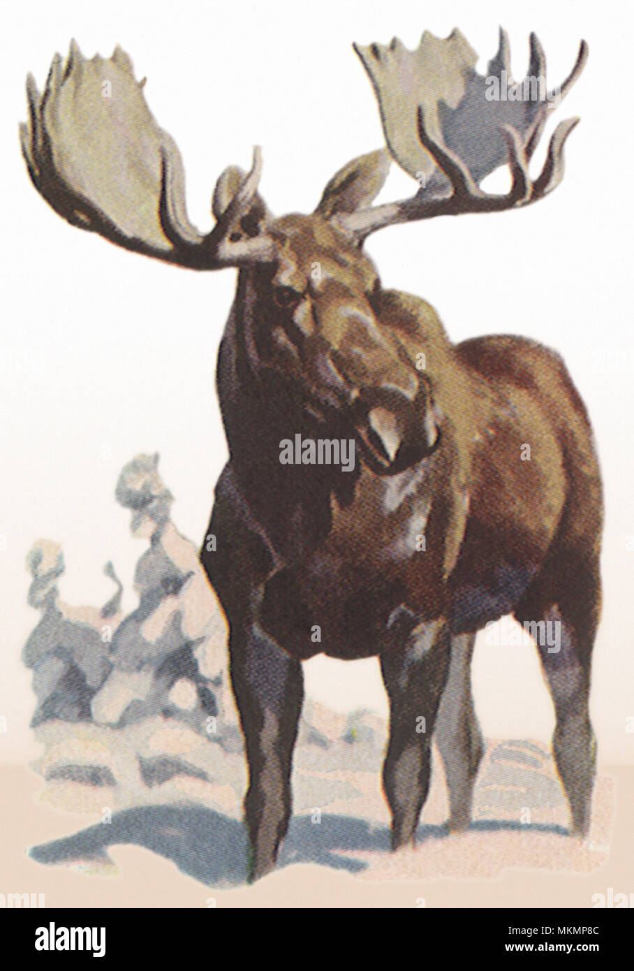 Identifying features hi-res stock photography and images - Alamy