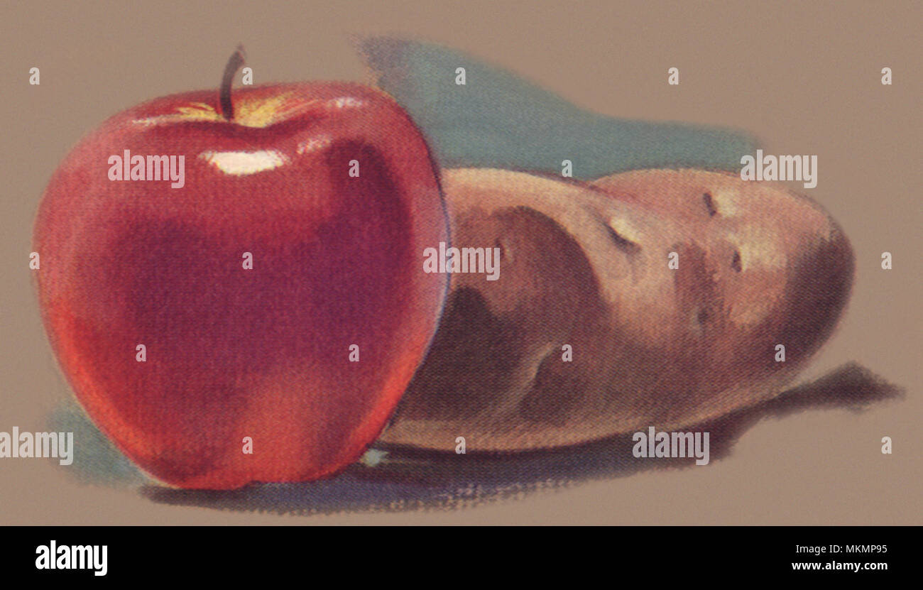 Potato illustration vintage hi-res stock photography and images - Alamy