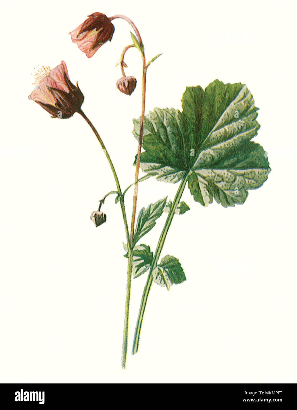 Base water Cut Out Stock Images & Pictures - Alamy