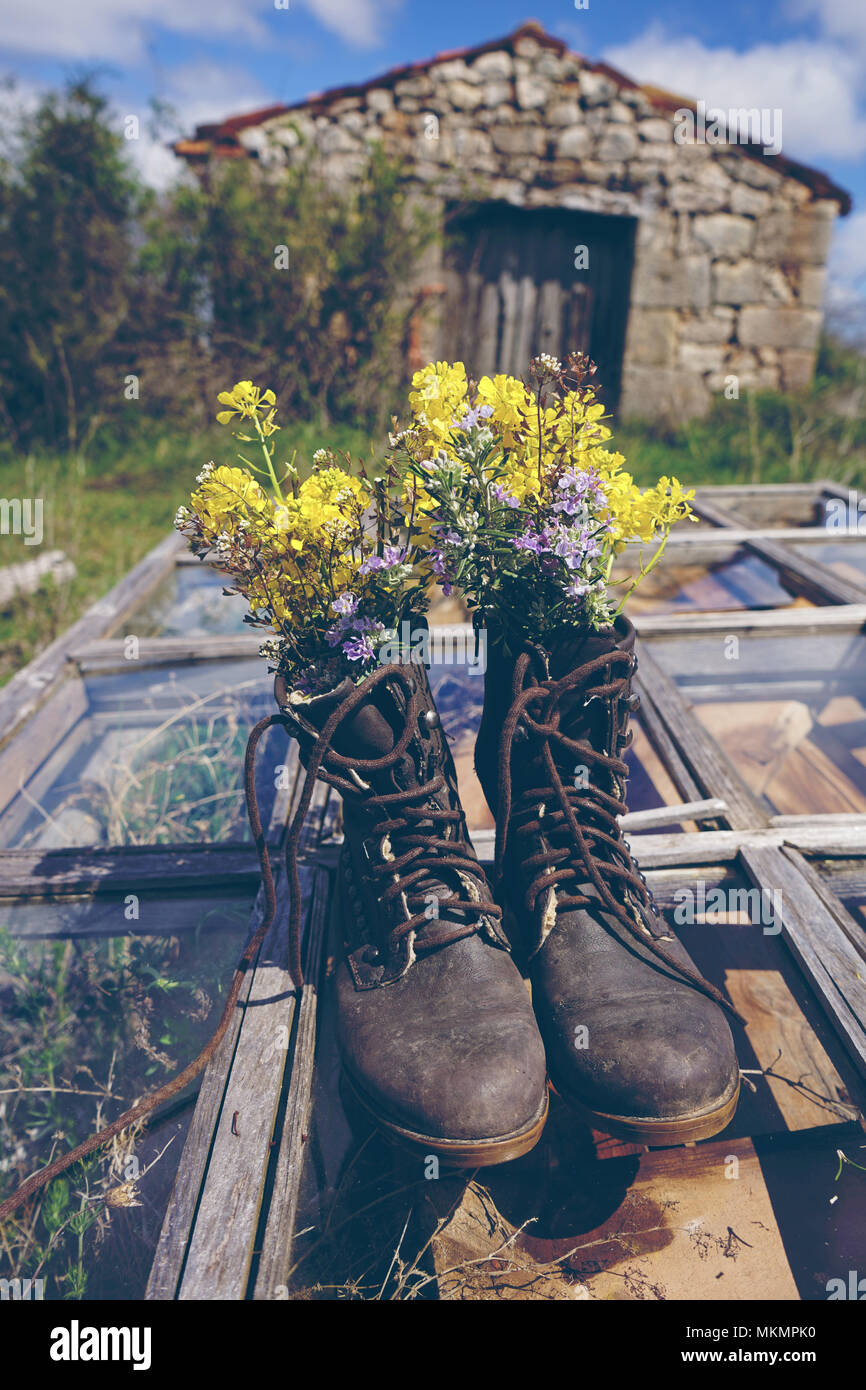 Boots filled with flowers hi-res stock photography and images - Alamy