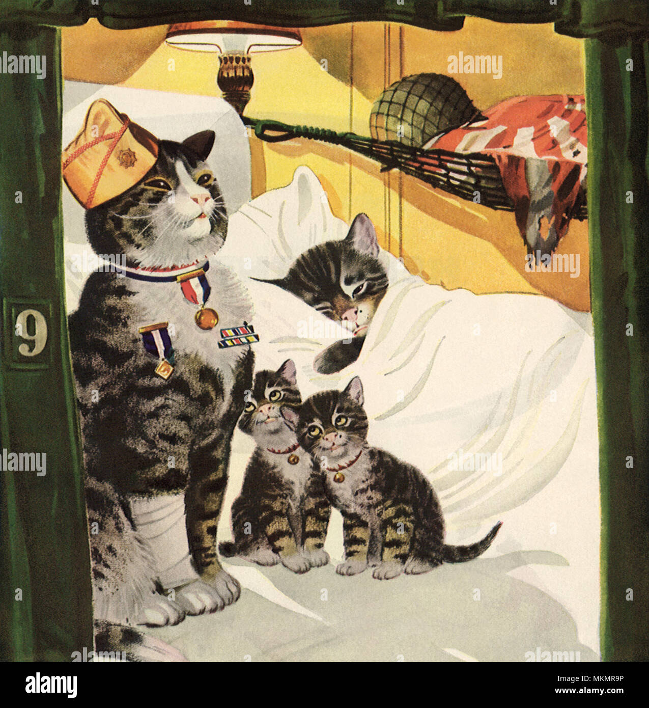 Soldier and cat hi-res stock photography and images - Alamy