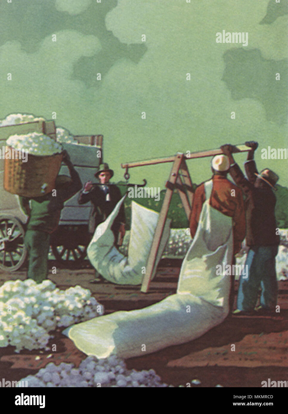Vintage Cotton Farming High Resolution Stock Photography and Images - Alamy
