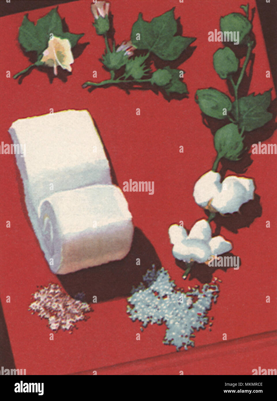 Cotton Plant and Fabric Stock Photo - Alamy