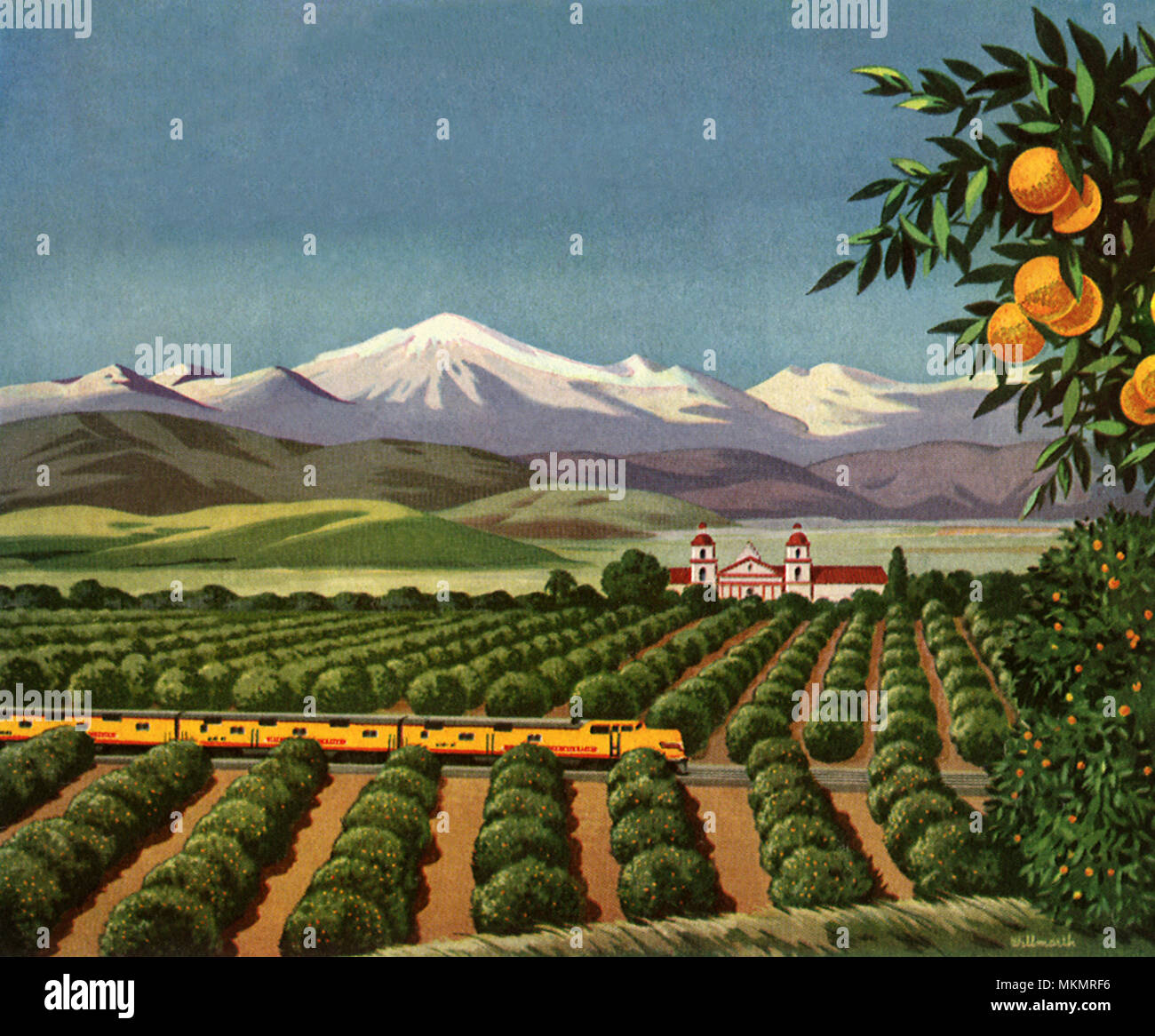 Orange groves california hi-res stock photography and images - Alamy