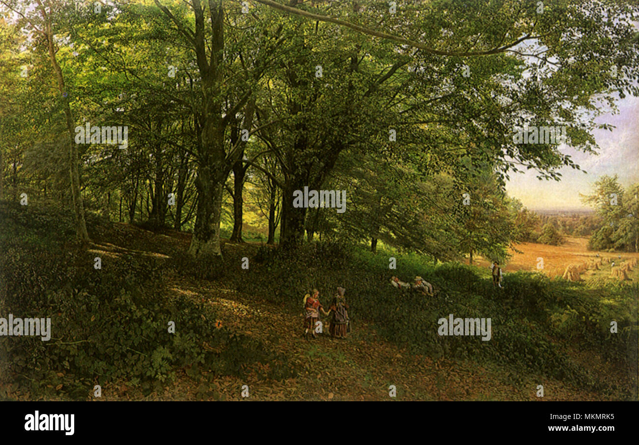 Victorian farm field hi-res stock photography and images - Alamy