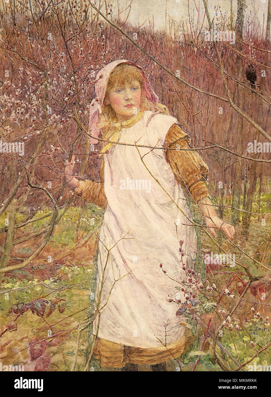 Victorian forest hi-res stock photography and images - Alamy