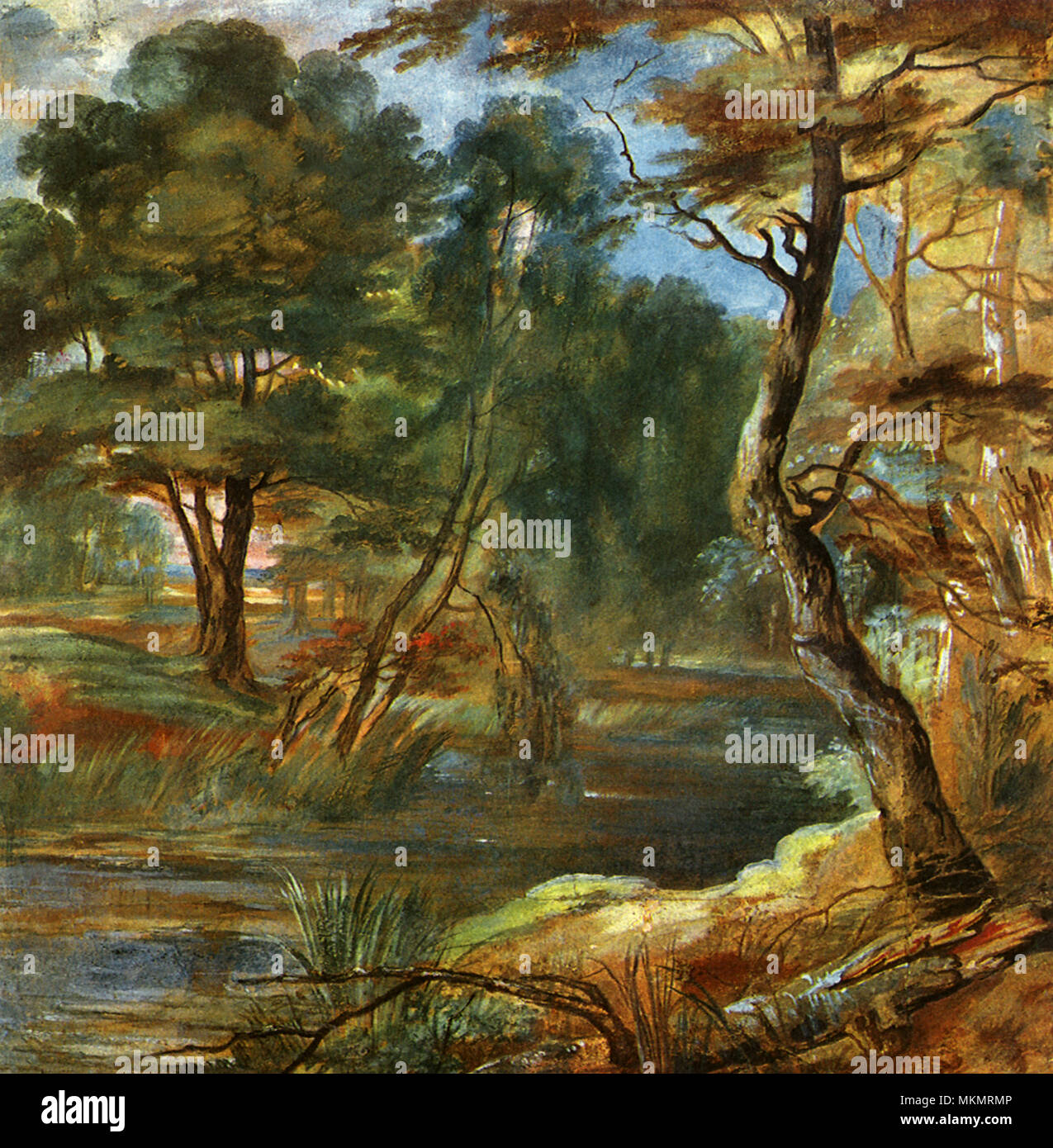 Winding Forest Stream Stock Photo - Alamy