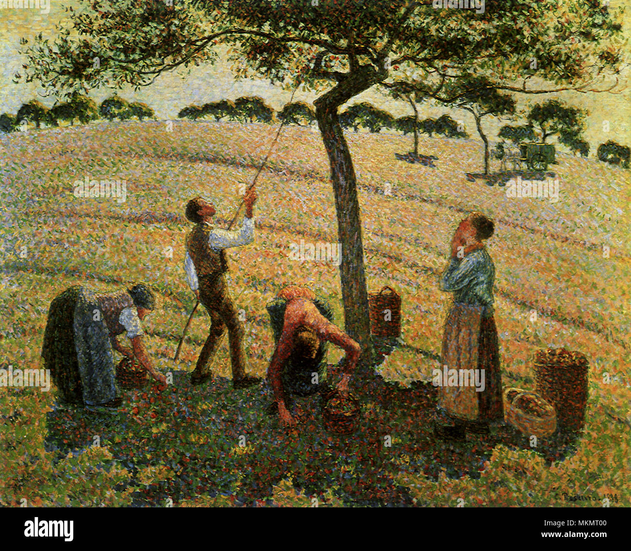 Picking apple with stick hi-res stock photography and images - Alamy