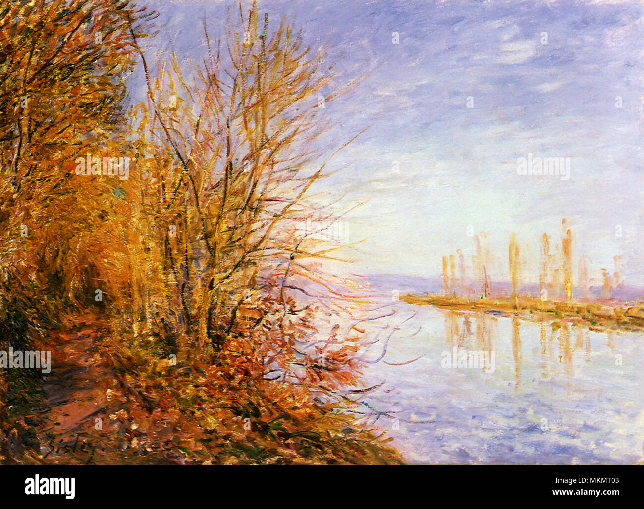 Wood Bordering River Stock Photo - Alamy