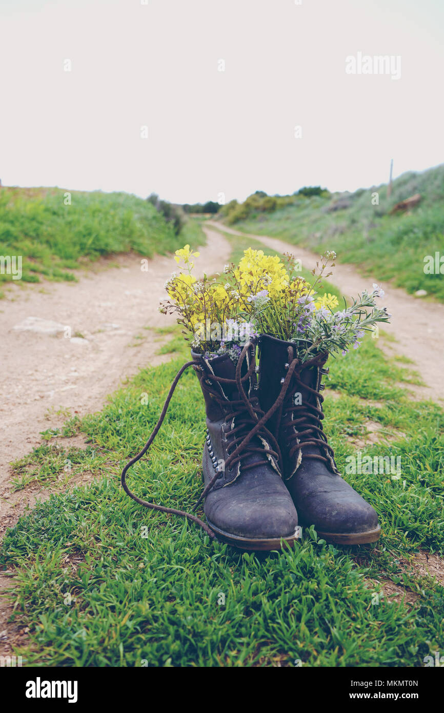 Old boots filled with flowers in a rural path Stock Photo - Alamy