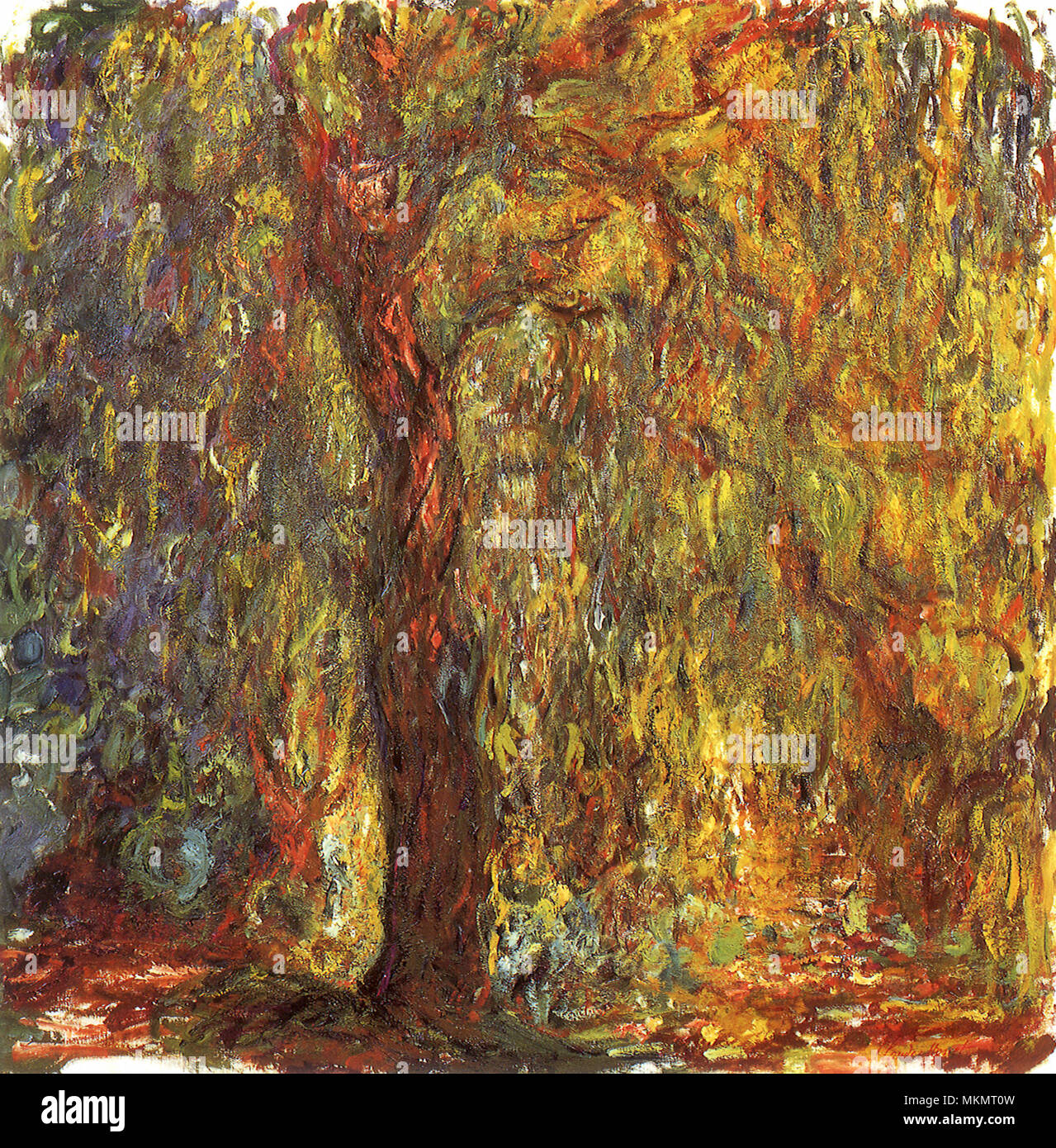 Droop willow hi-res stock photography and images - Alamy