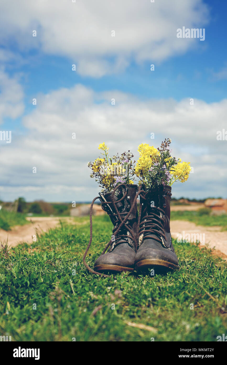 Old boots filled with flowers in a rural path Stock Photo - Alamy