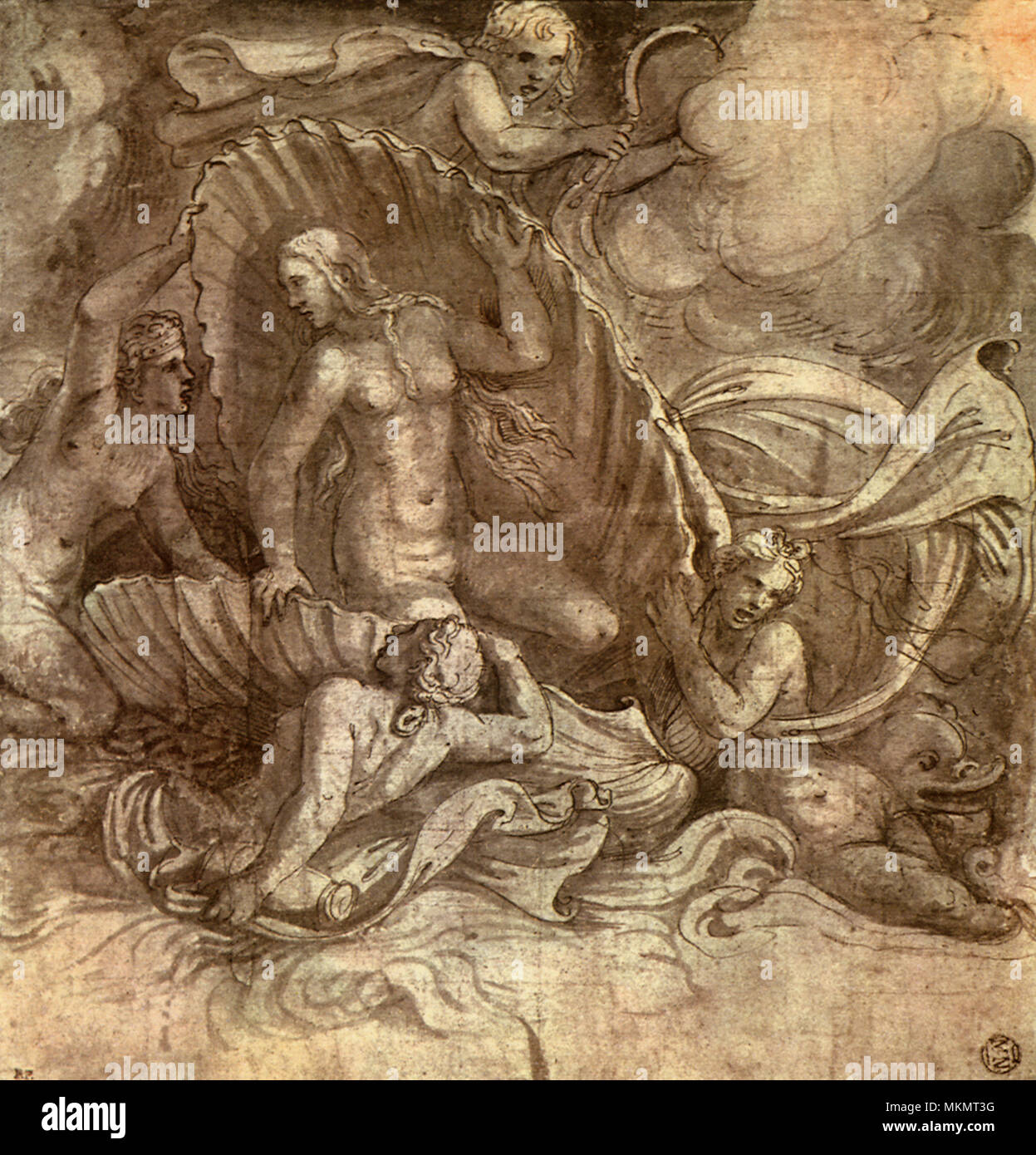 Birth of venus hi-res stock photography and images - Alamy