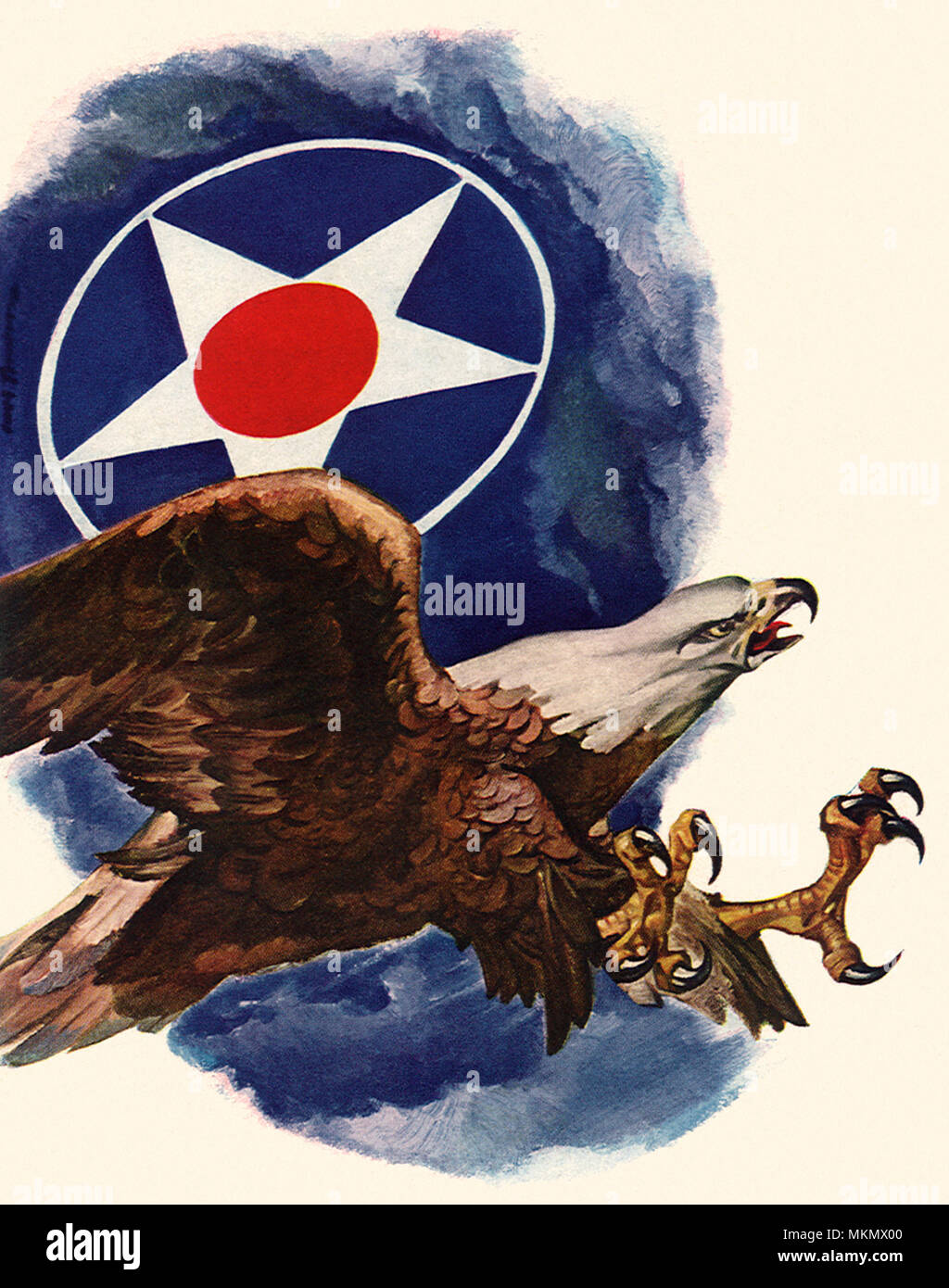 Birds fierce expression hi-res stock photography and images - Alamy