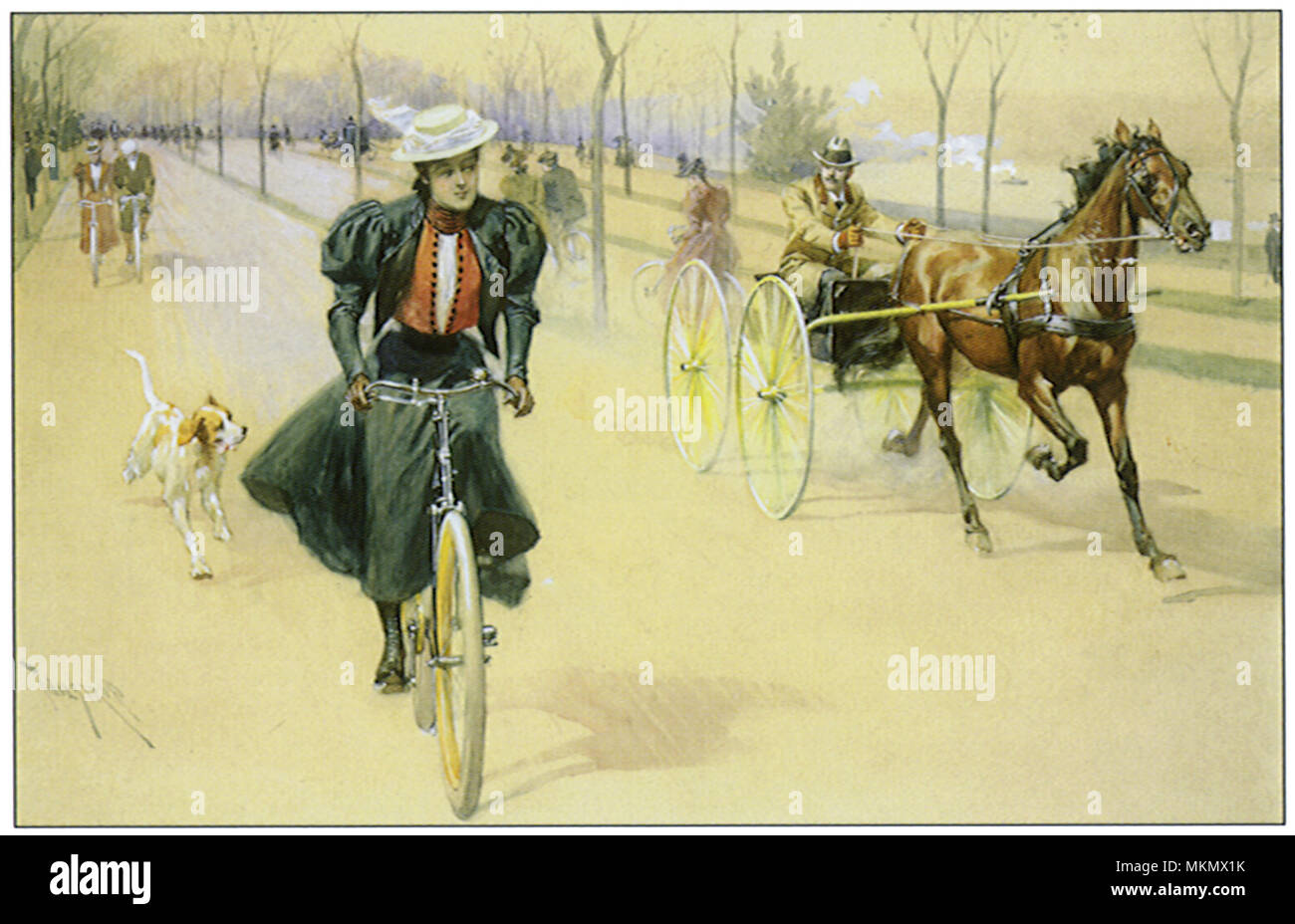 Woman carriage driving hi-res stock photography and images - Alamy