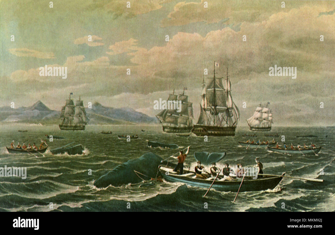 Harpoon boats hi-res stock photography and images - Alamy