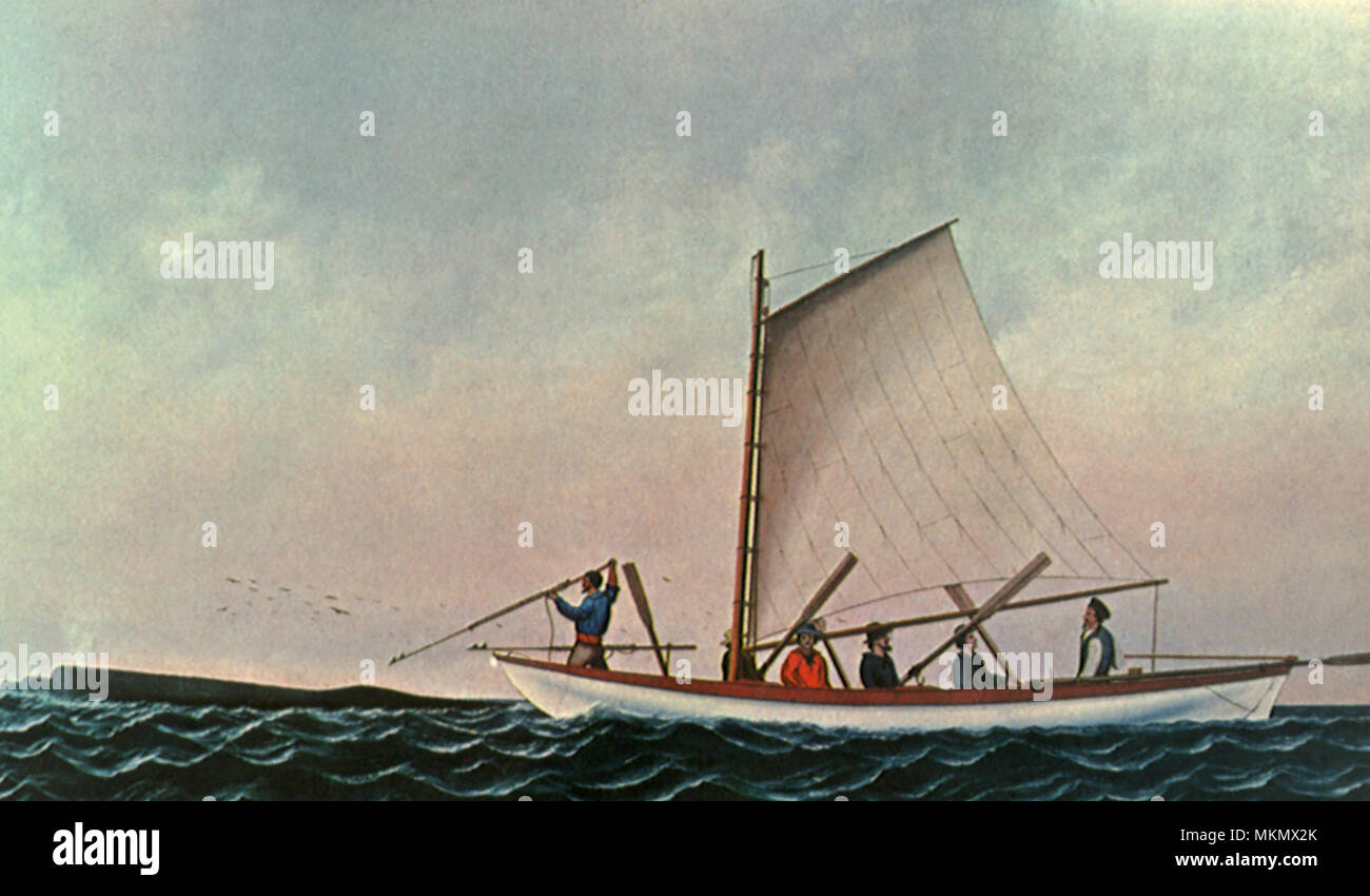 Harpoon whale hi-res stock photography and images - Alamy