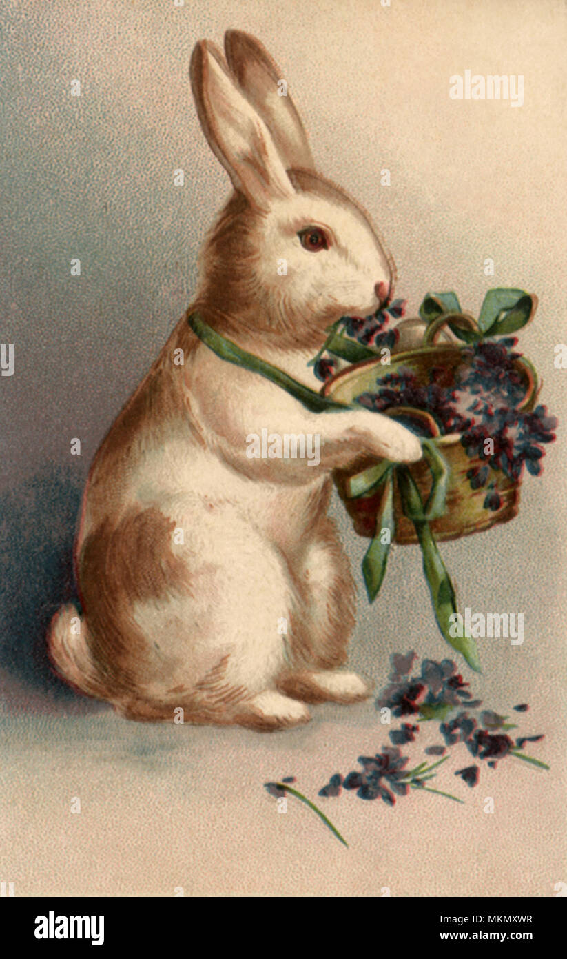 Bunny with Violets Stock Photo - Alamy