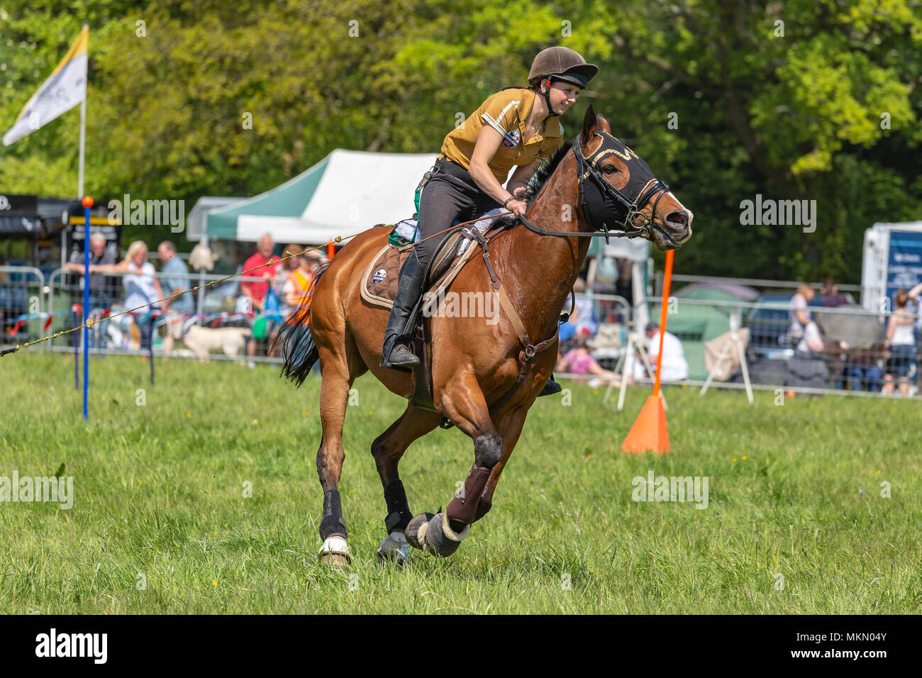 Hot wheels board hi-res stock photography and images - Alamy
