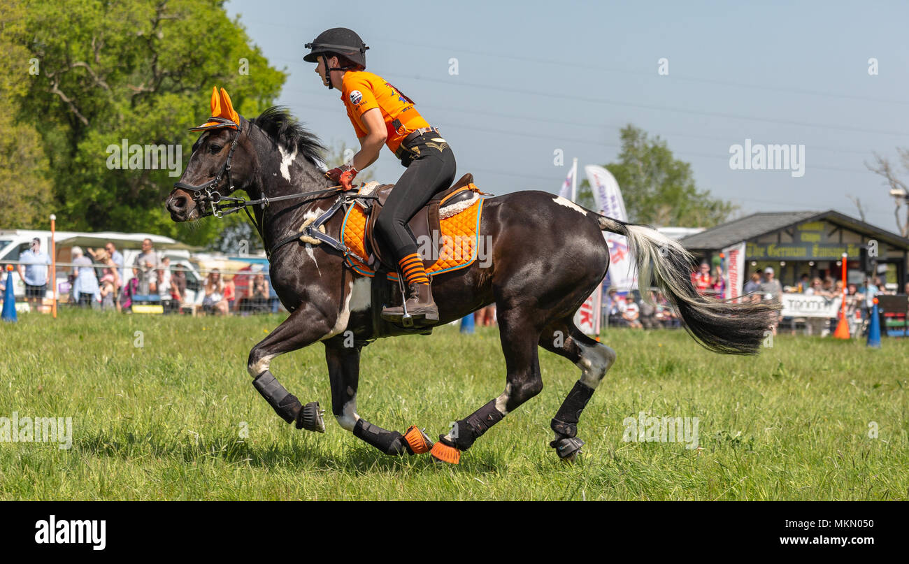 Hot wheels board hi-res stock photography and images - Alamy