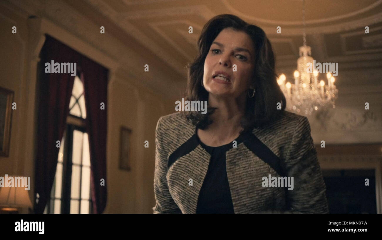 LITTLE PINK HOUSE, Jeanne Tripplehorn, 2017. © Dada Films /Courtesy ...