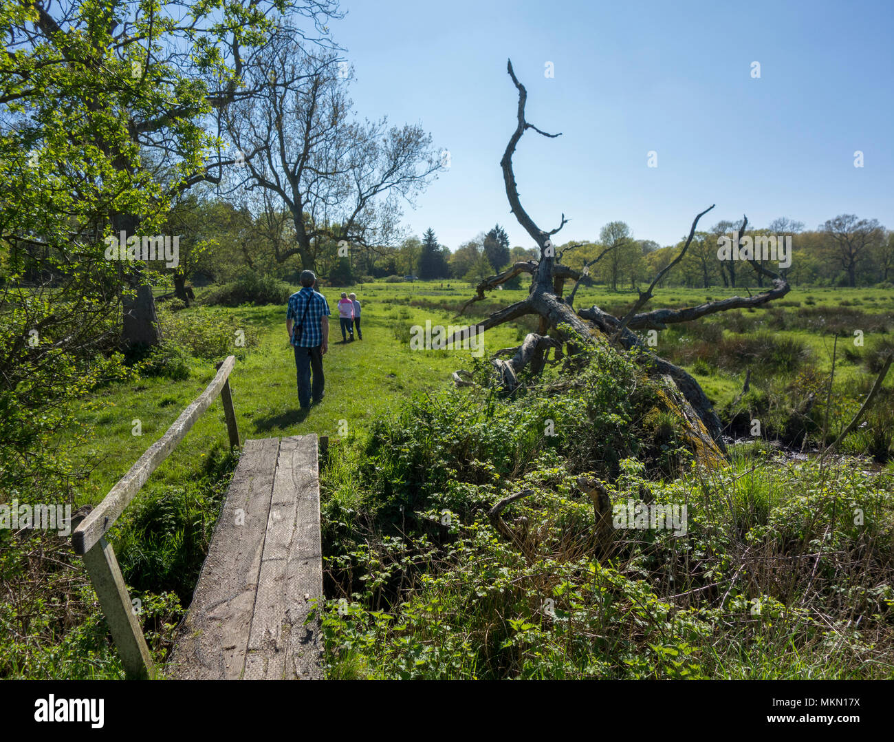 Weavers way norfolk hi-res stock photography and images - Alamy