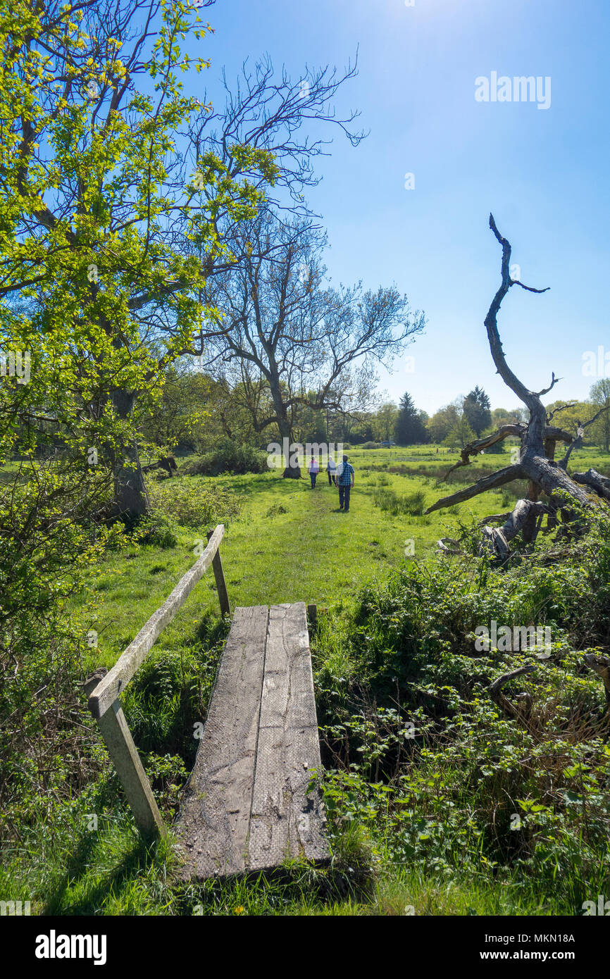 Weavers way norfolk hi-res stock photography and images - Alamy