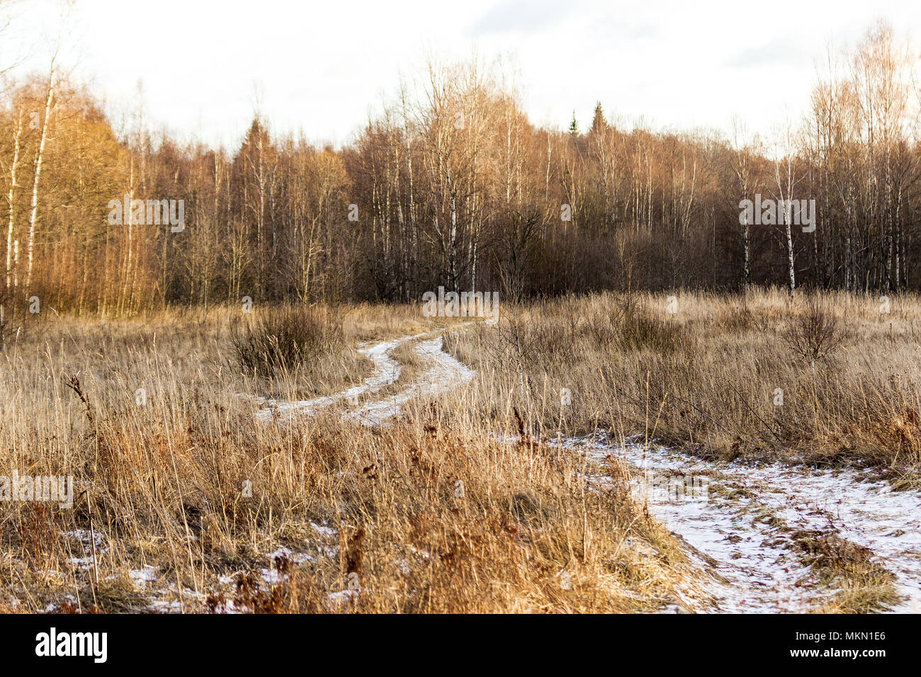 Beautiful field on sunny hi-res stock photography and images - Alamy