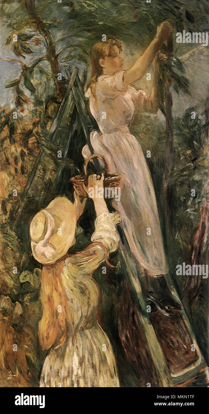 The Cherry Tree Stock Photo - Alamy