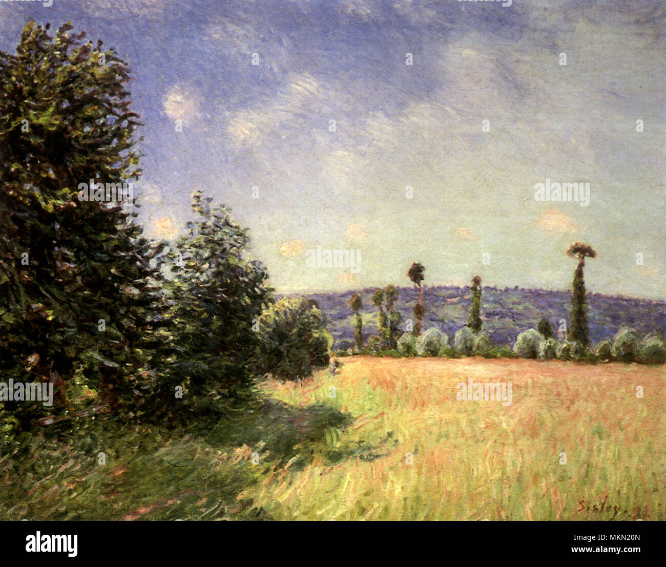 Corner trees hi-res stock photography and images - Alamy