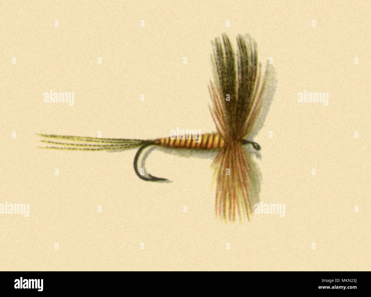 Classical march hi-res stock photography and images - Alamy