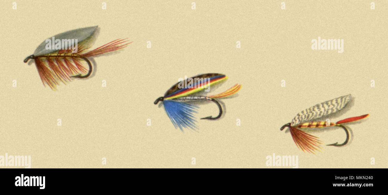 Three English Flies Stock Photo - Alamy