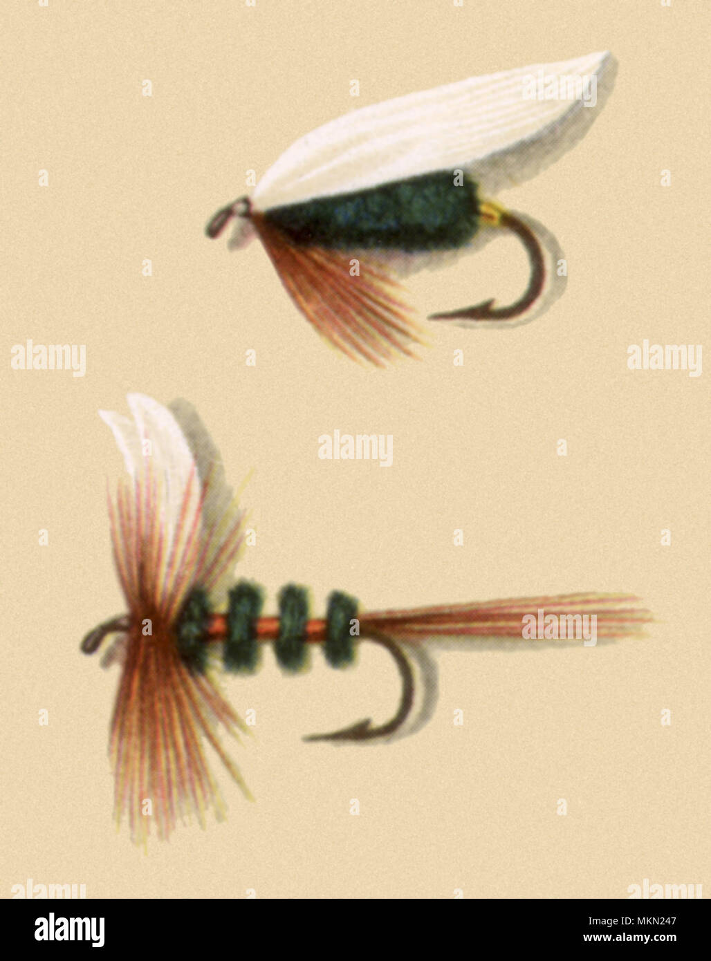 Coachman hi-res stock photography and images - Alamy