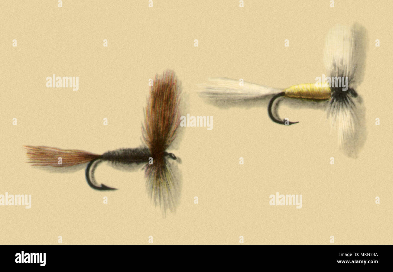 Bucktail Wulff Flies Stock Photo - Alamy