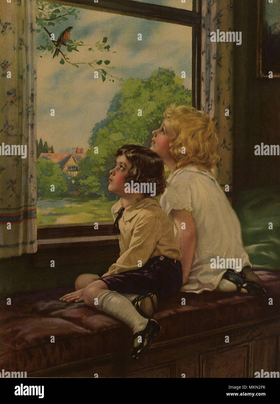 Children Watching Robin Stock Photo - Alamy