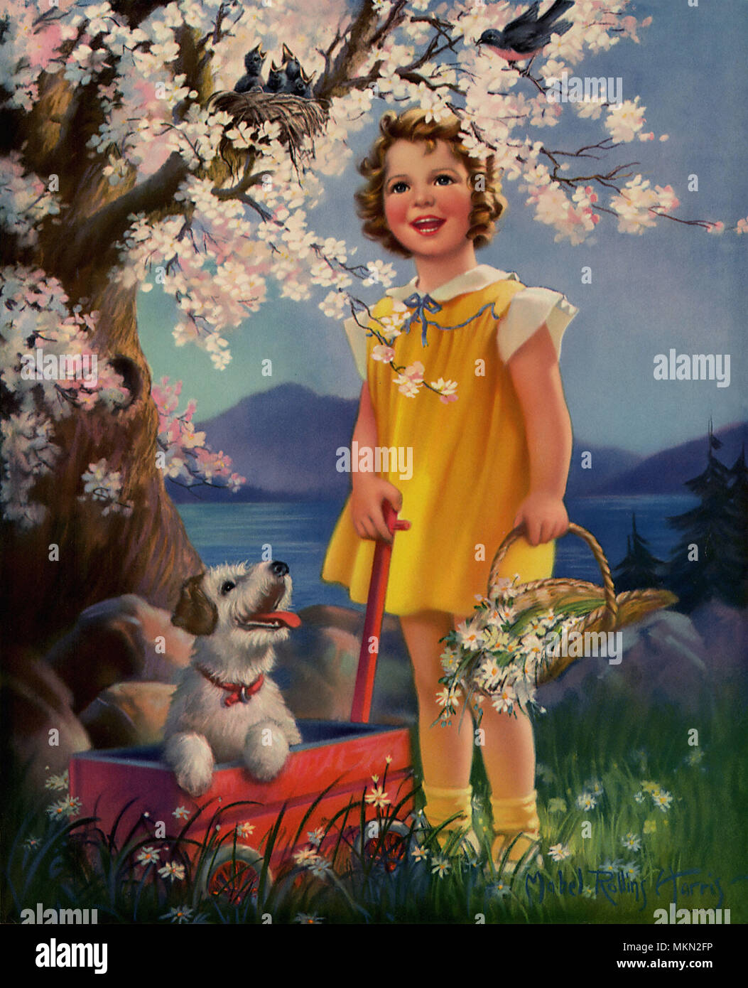 Kids and dog and wagon hi-res stock photography and images - Alamy