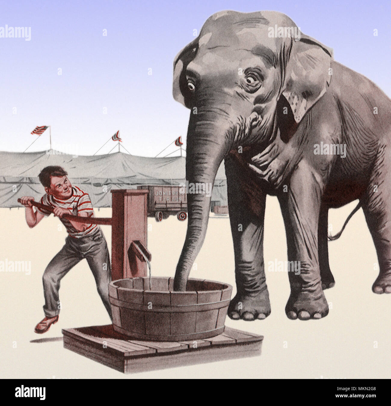 Pumping Elephant's Water Stock Photo - Alamy